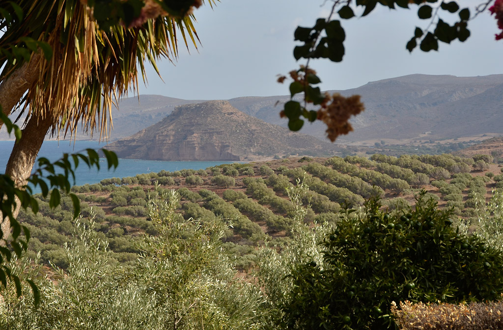 Palekastro Ost Kreta. Hotels mit Infos u. Tipps, Fotos.