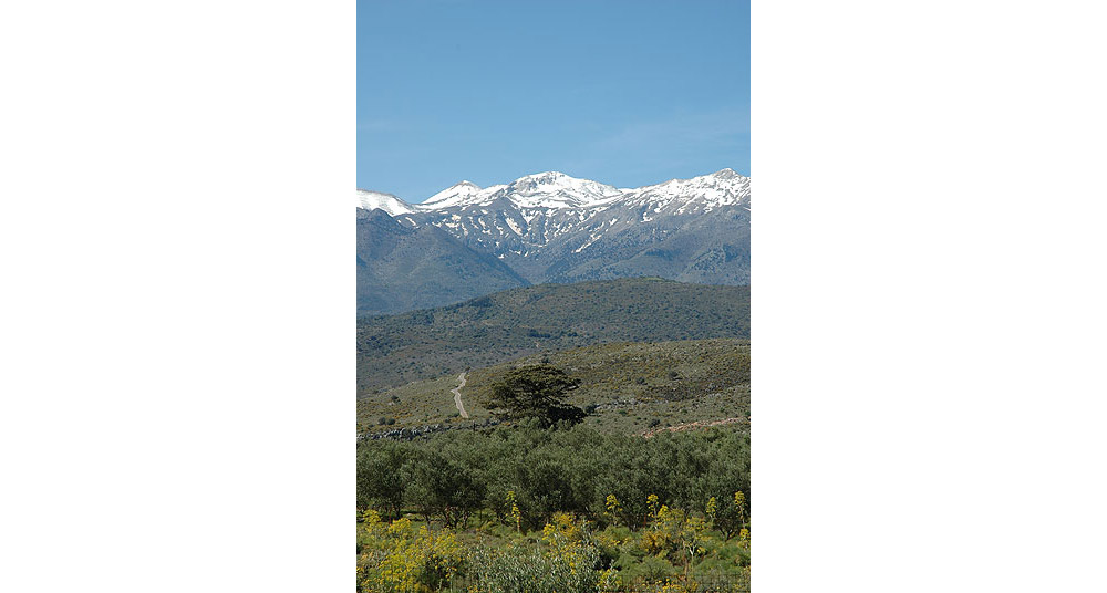 Apokoronas West Kreta. Hotels mit Informationen u. Tipps, Fotos