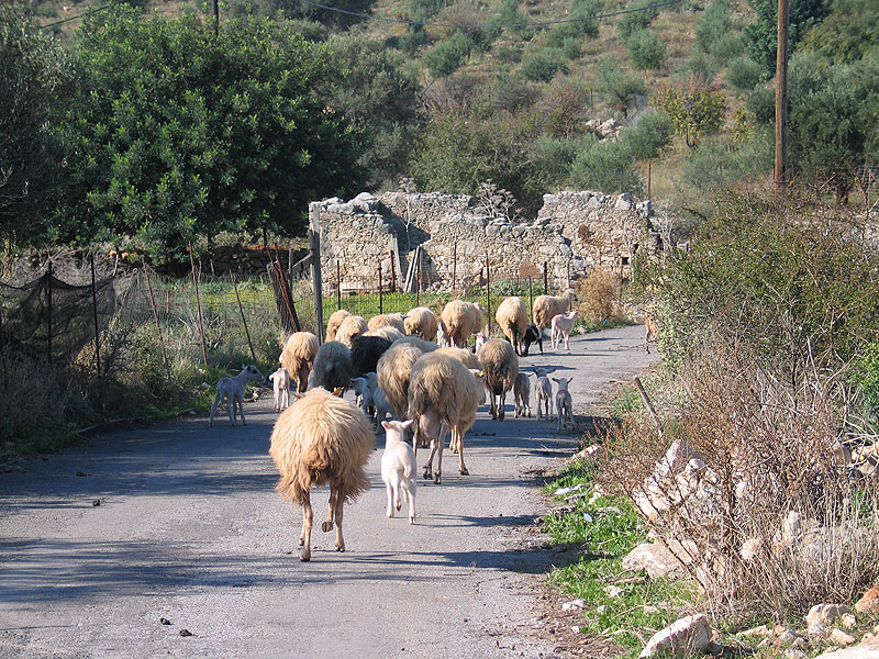 Apokoronas - Crete. Hotels & Information